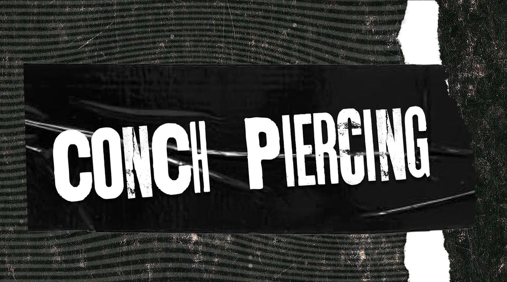 Conch Earrings | Conch Jewelry | UrbanBodyJewelry.com