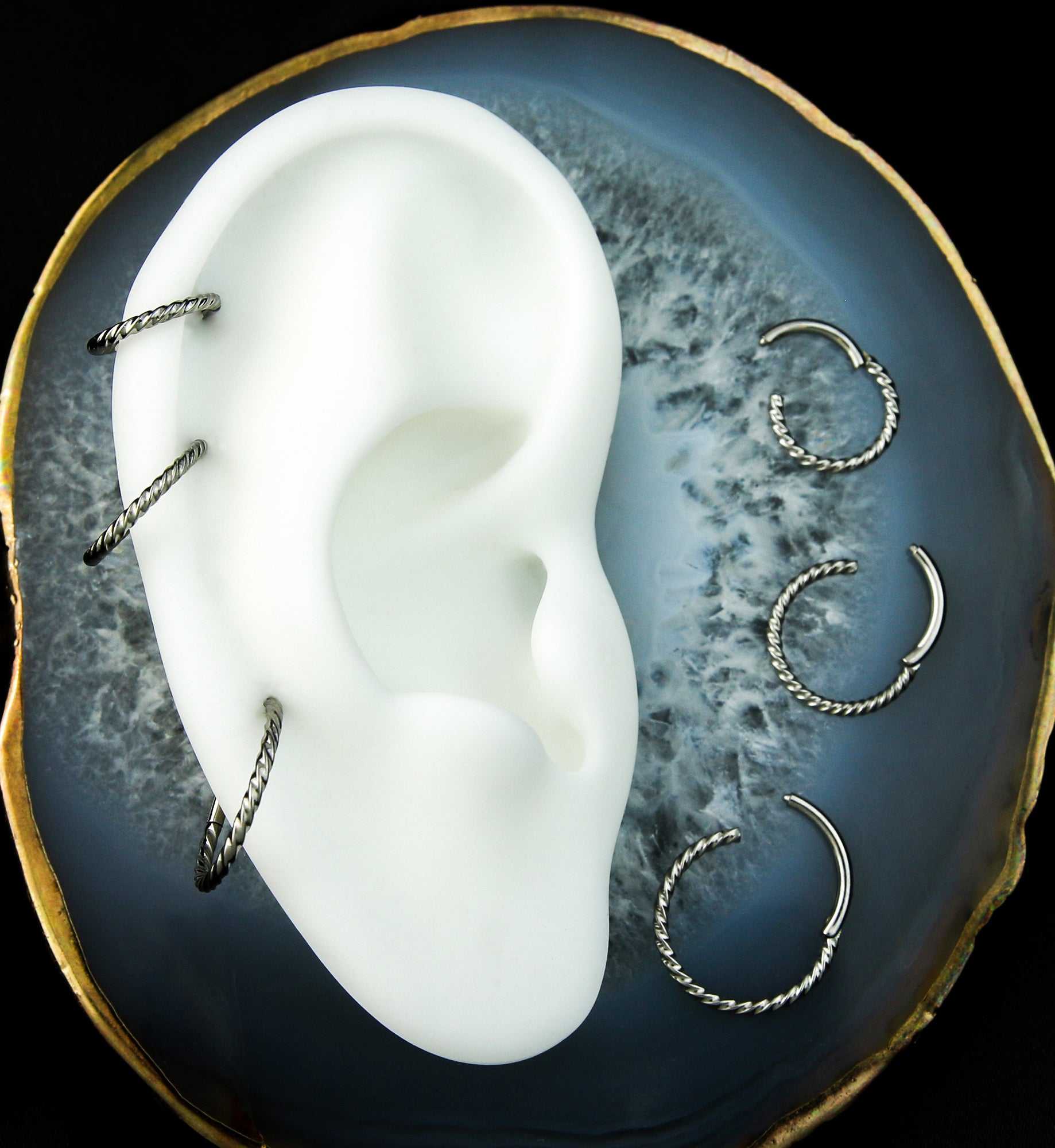 Twisted Titanium Segment Ring | UrbanBodyJewelry.com