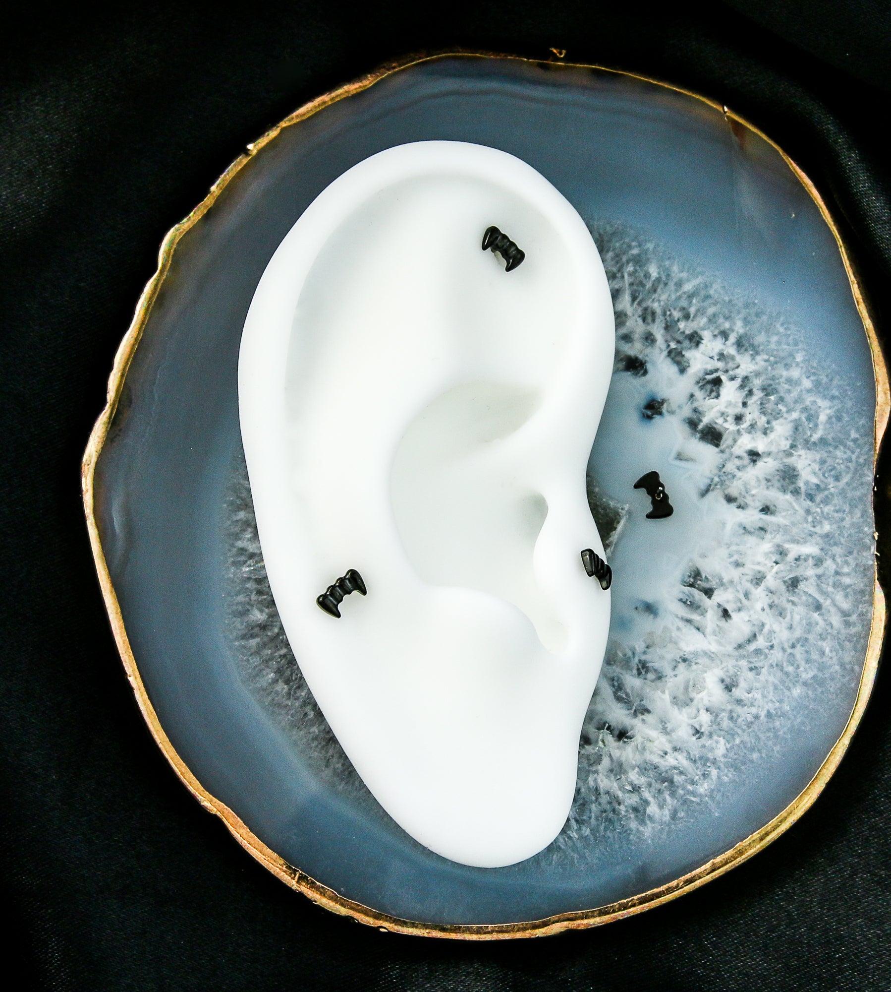 Black PVD Fangs Titanium Threadless Top | UrbanBodyJewelry.com