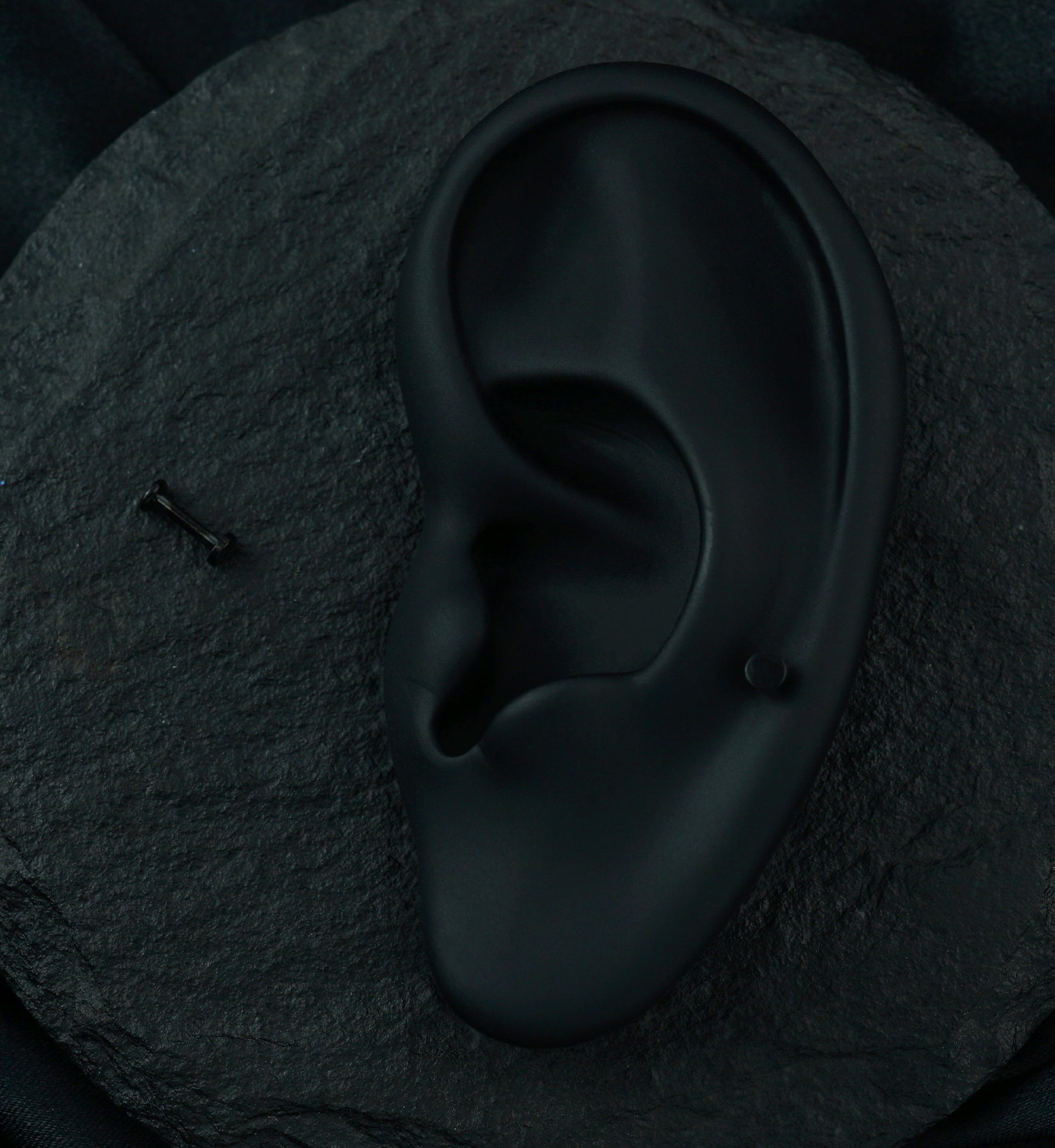 Black PVD Flat Disk Internally Threaded Titanium Labret