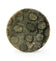 Blue Fossilized Coral Stone Plugs (0 Gauge - 2 Inch)