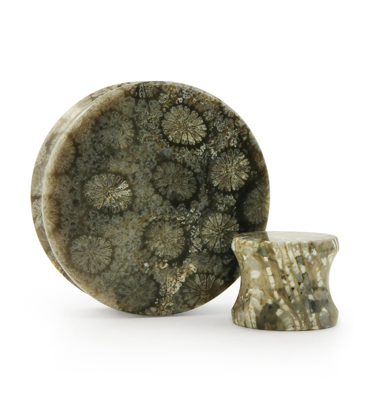 Blue Fossilized Coral Stone Plugs (0 Gauge - 2 Inch)