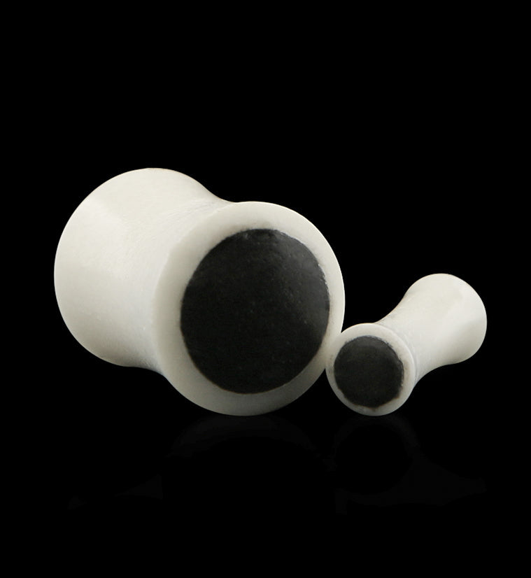 White Bone Plugs with Areng Wood Inlay | UrbanBodyJewelry.com
