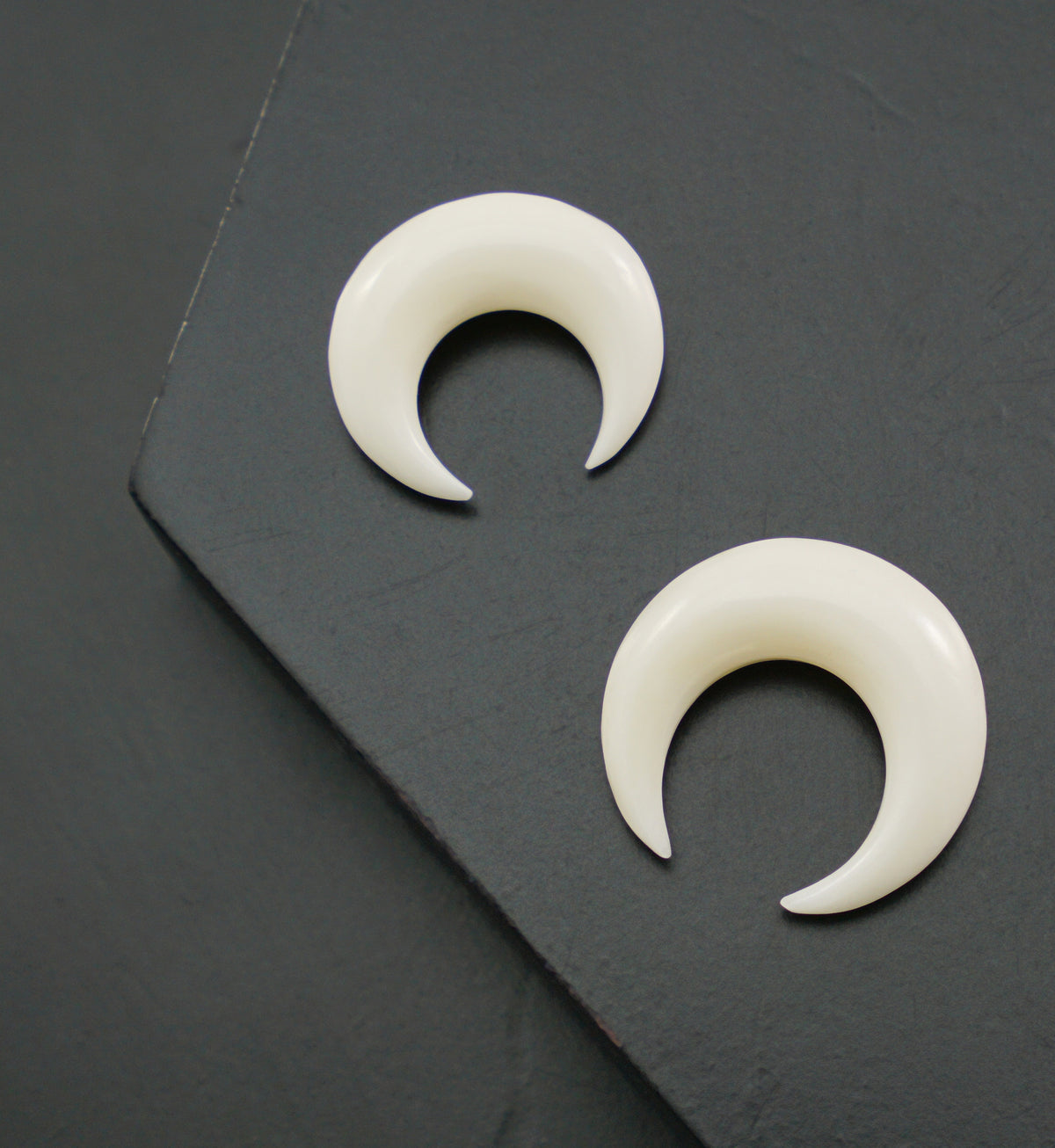 Bone Septum Pinchers (8G - 1/2