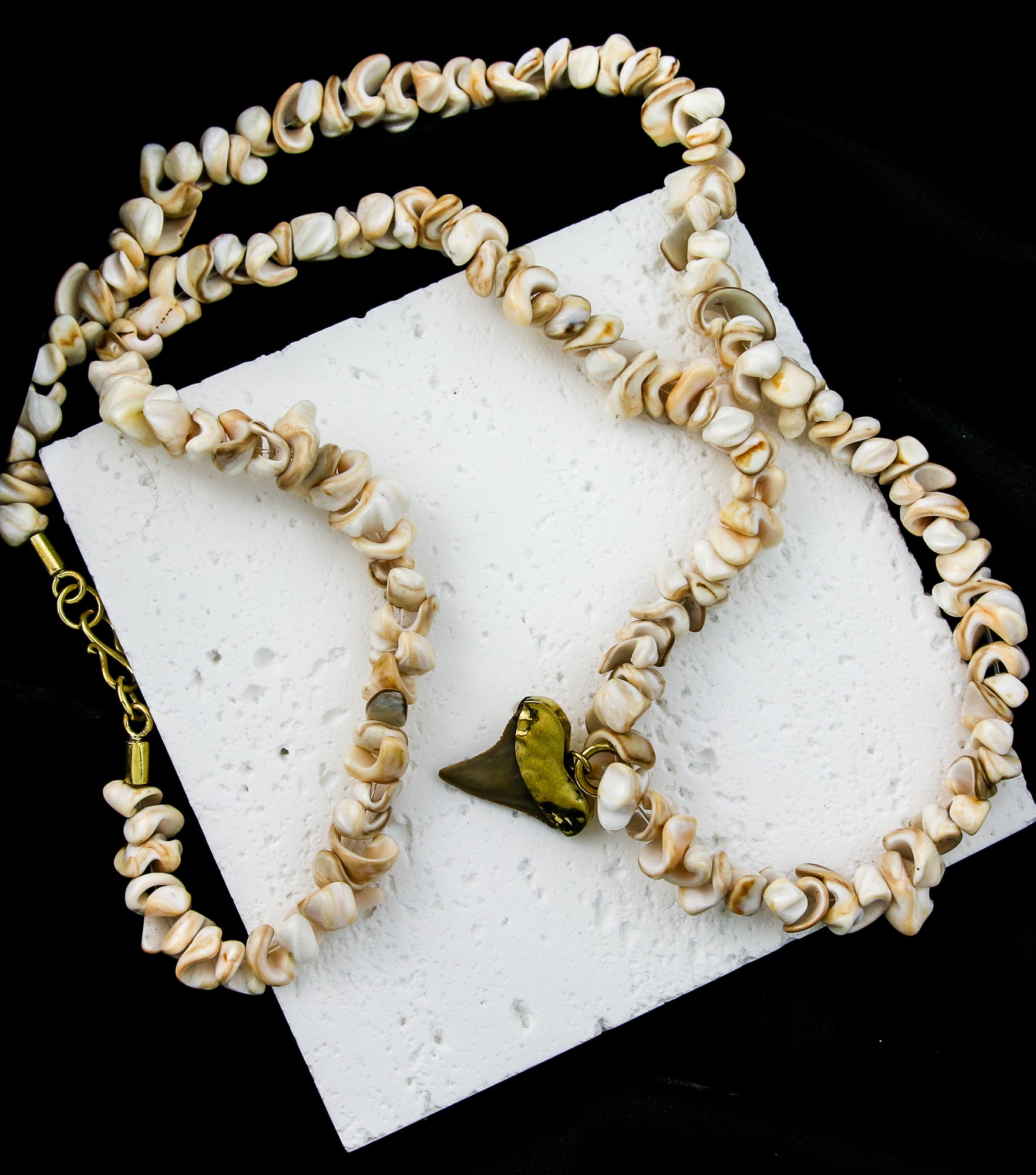 Brass Fossilized Shark Tooth Seashell Necklace | UrbanBodyJewelry.com