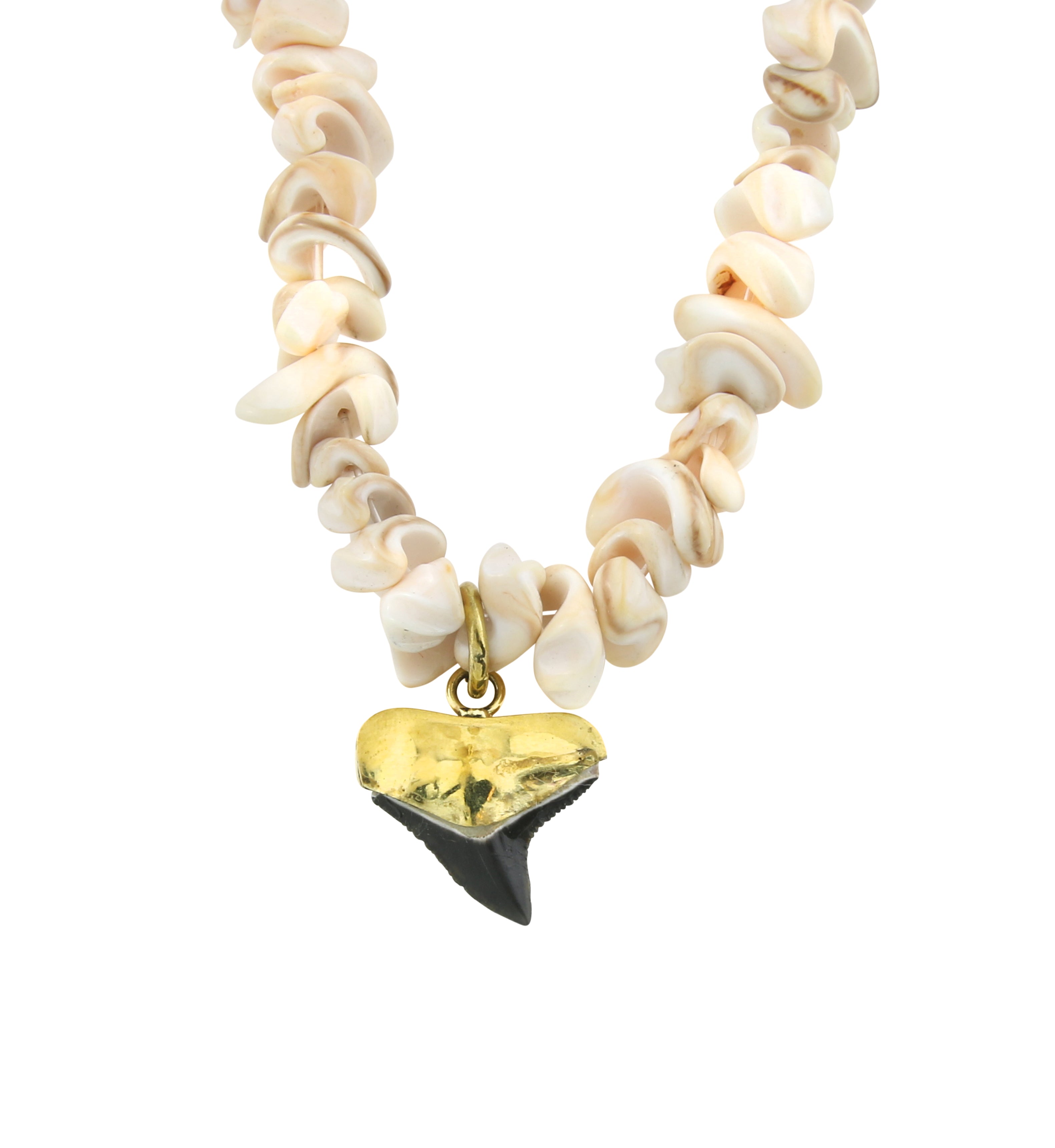 Brass Fossilized Shark Tooth Seashell Necklace | UrbanBodyJewelry.com