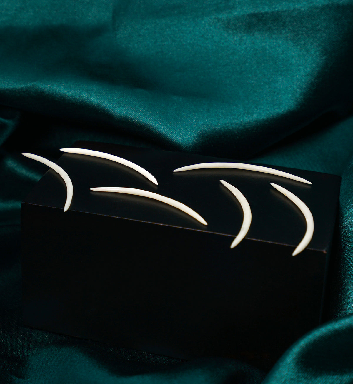Septum Tusk & Spikes | Organic Septum Rings | UrbanBodyJewelry.com
