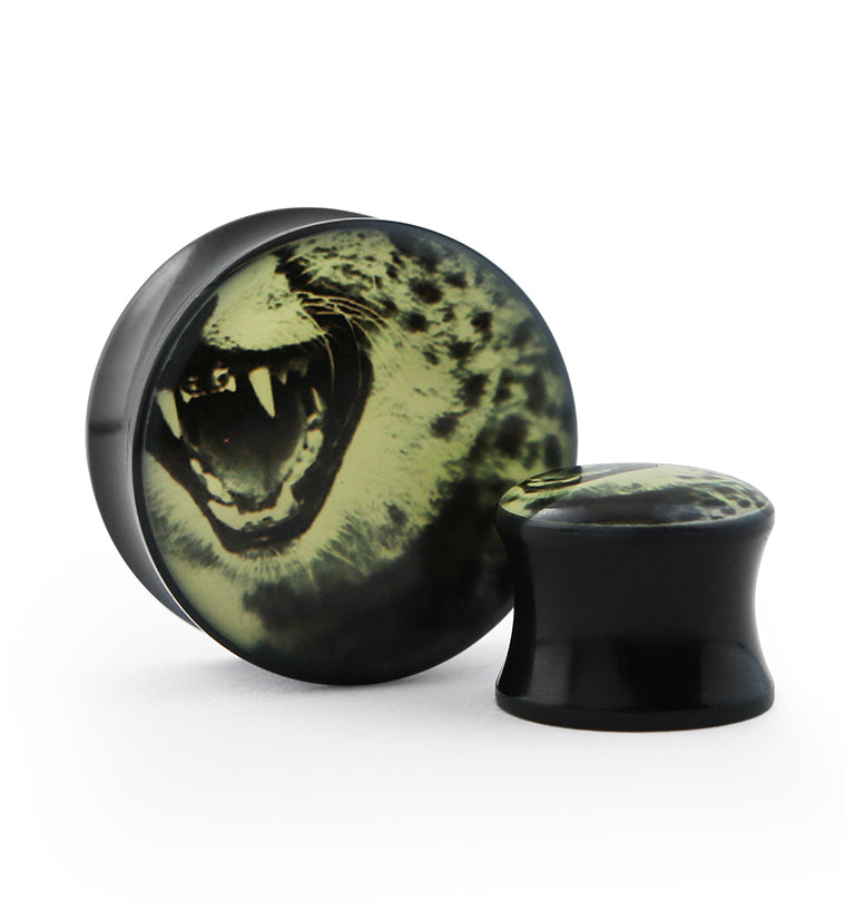 Cheetah Fang Plugs (2G - 7/8") | UrbanBodyJewelry.com