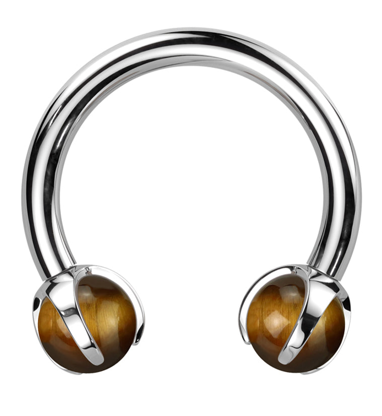 Claw Tigers Eye Titanium Internally Threaded Circular Barbell ...
