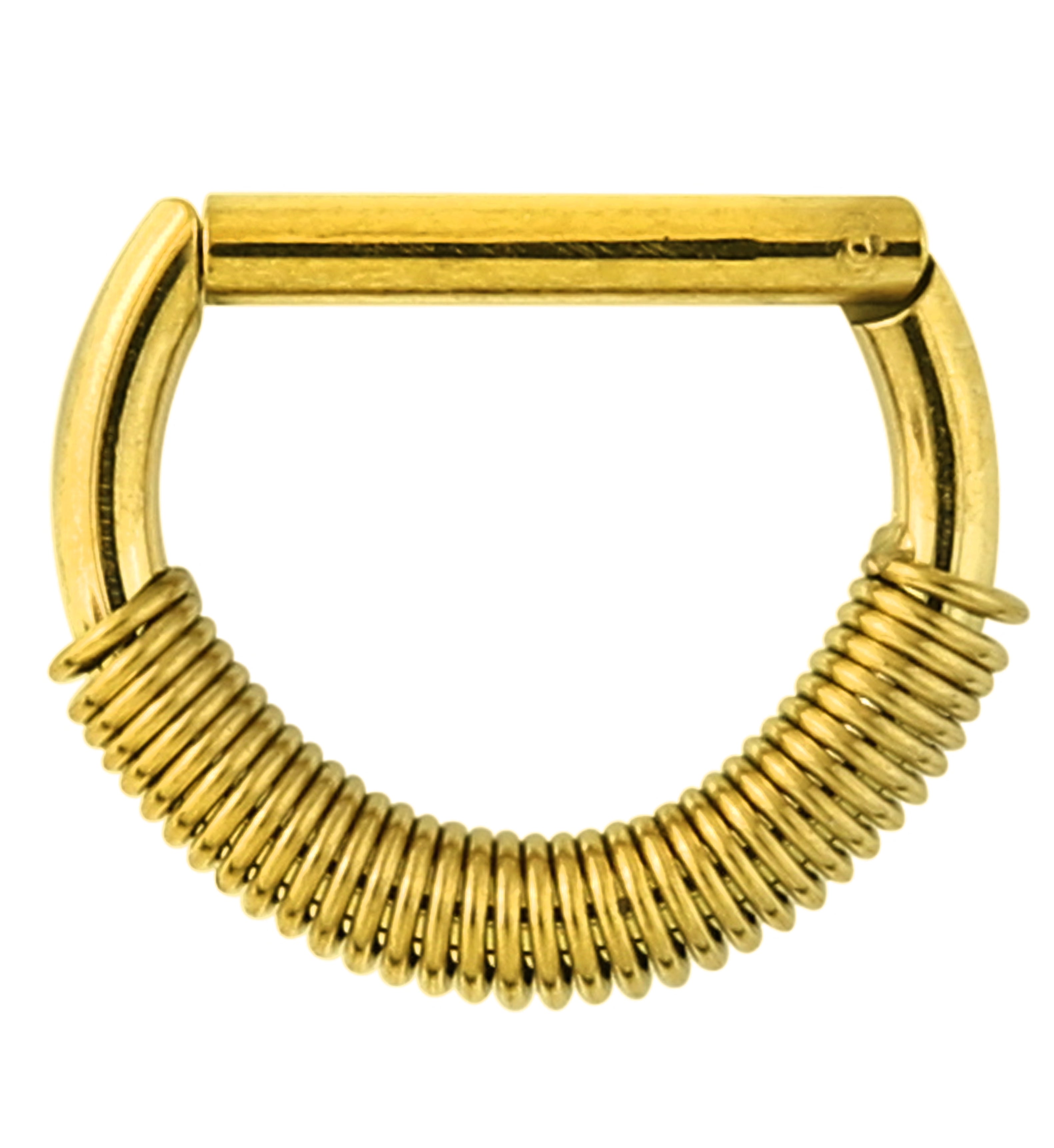 Gold PVD Coil D-Shaped Stainless Steel Hinged Segment Ring ...