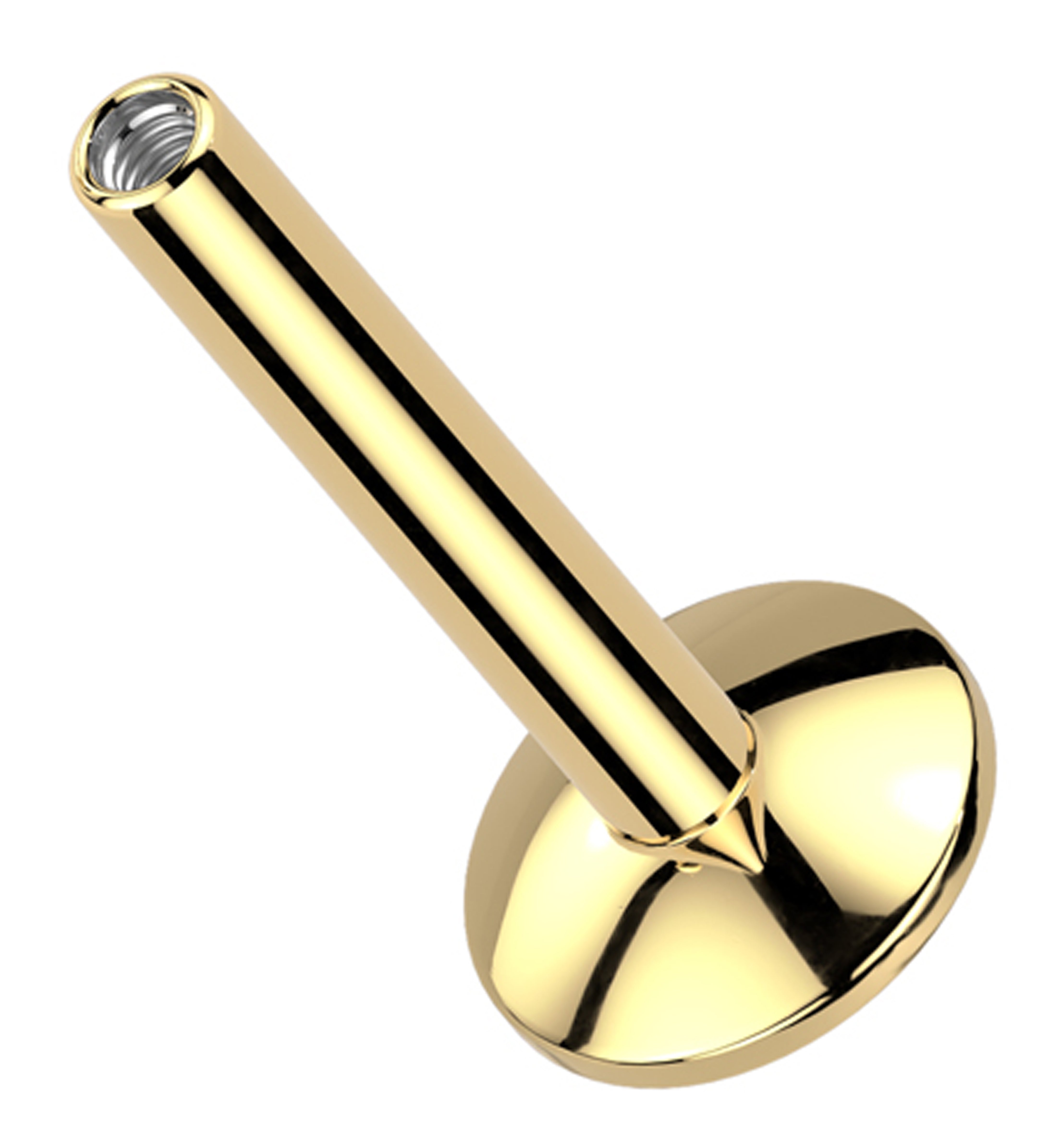 Gold PVD Internally Threaded Titanium Convex Back Labret (Post Only ...