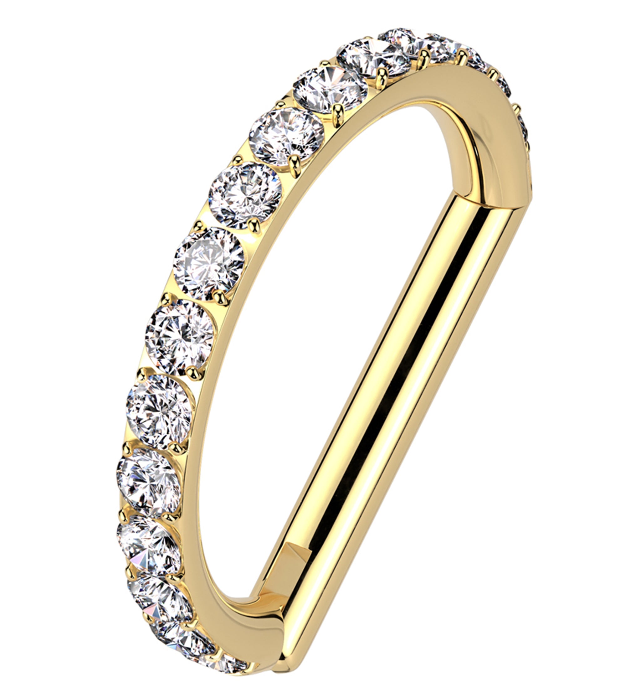 Gold PVD Outward Facing Deca Clear CZ Titanium D-Shaped Hinged Segment