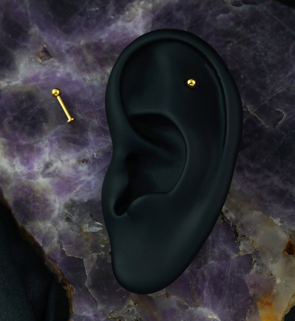 Gold PVD Titanium Labret | UrbanBodyJewelry.com