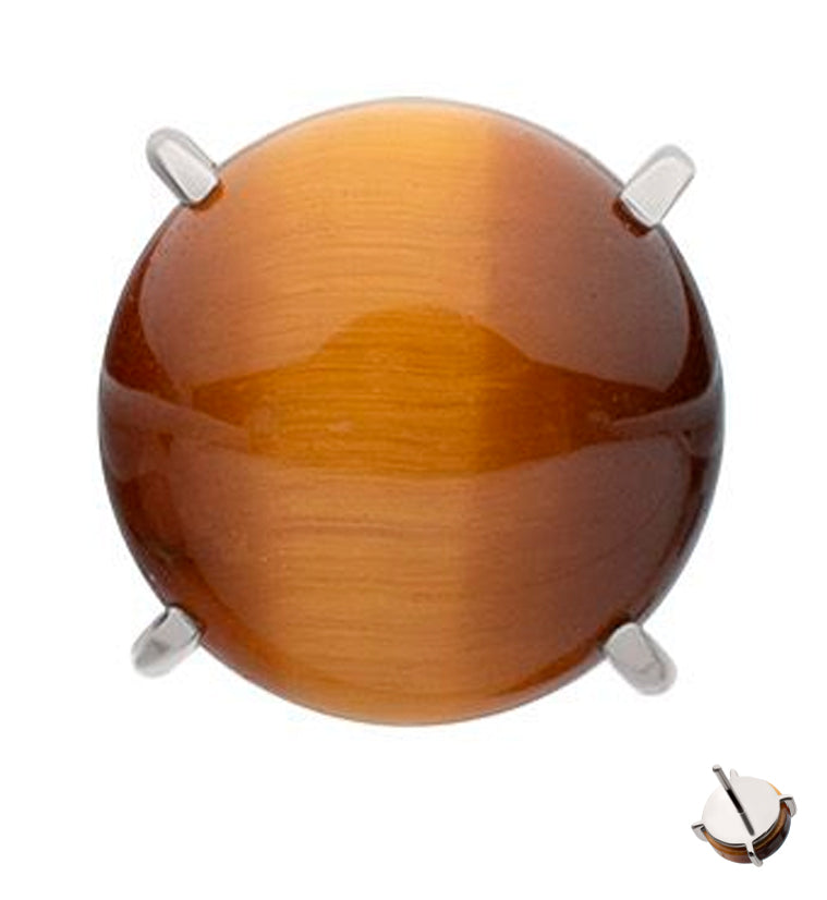 Prong Tiger Eye Stone Titanium Threadless Top | UrbanBodyJewelry.com