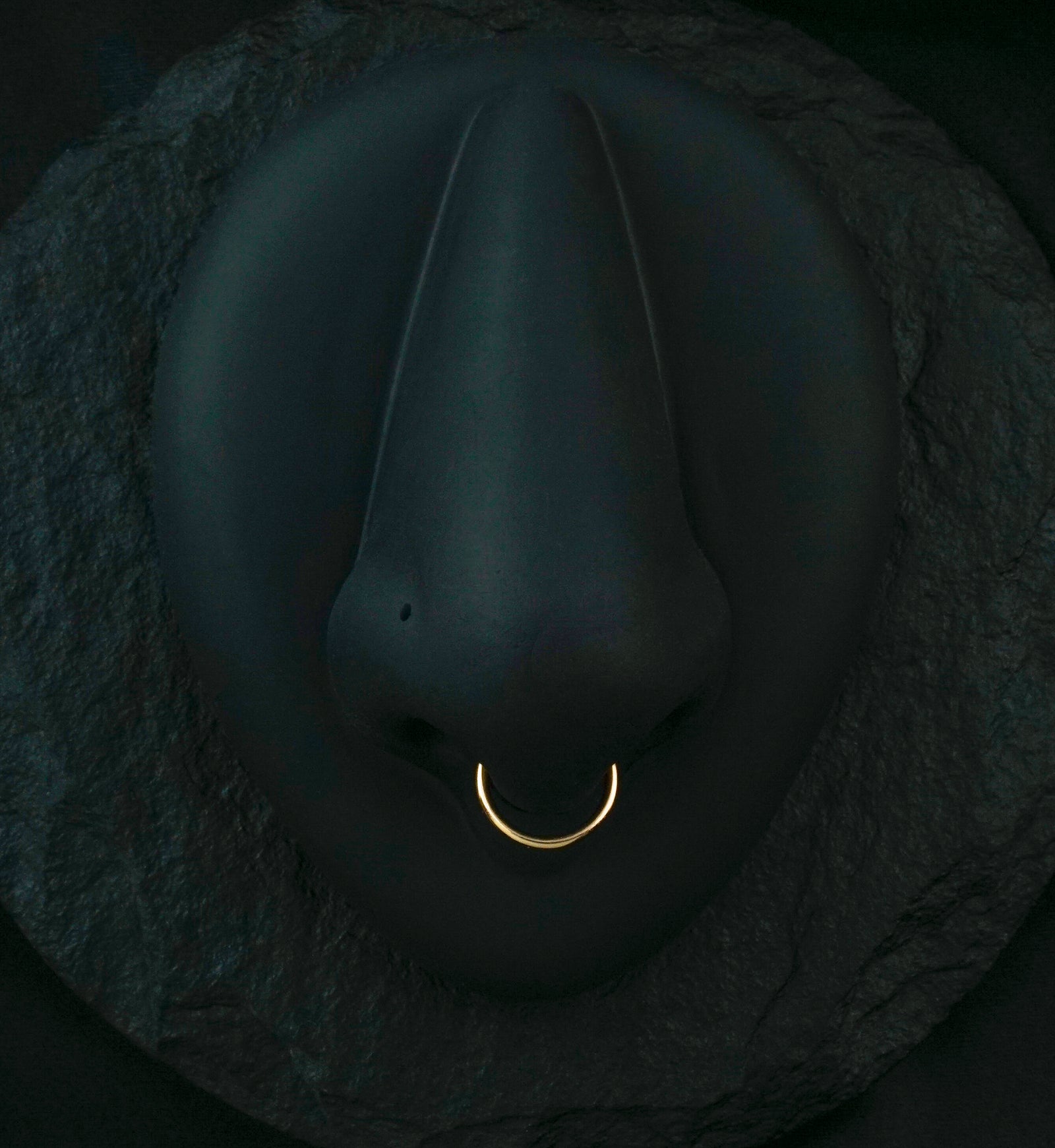 Gold Nose Rings | 14k Gold Nose Rings