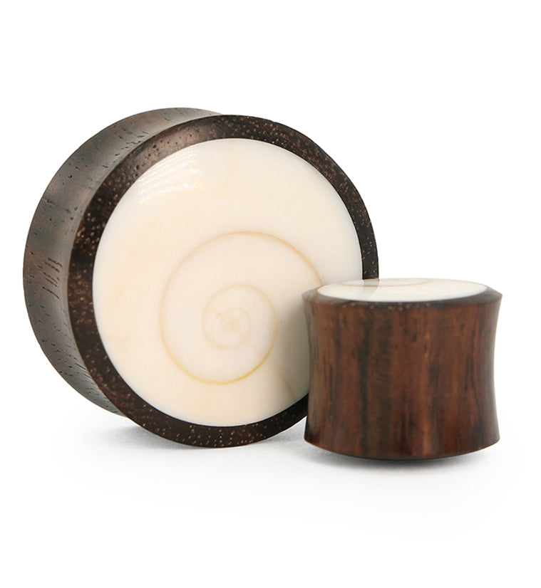 Spiral Sea Shell Inlay Wood Plugs (6G - 1 & 1/2") | UrbanBodyJewelry.com