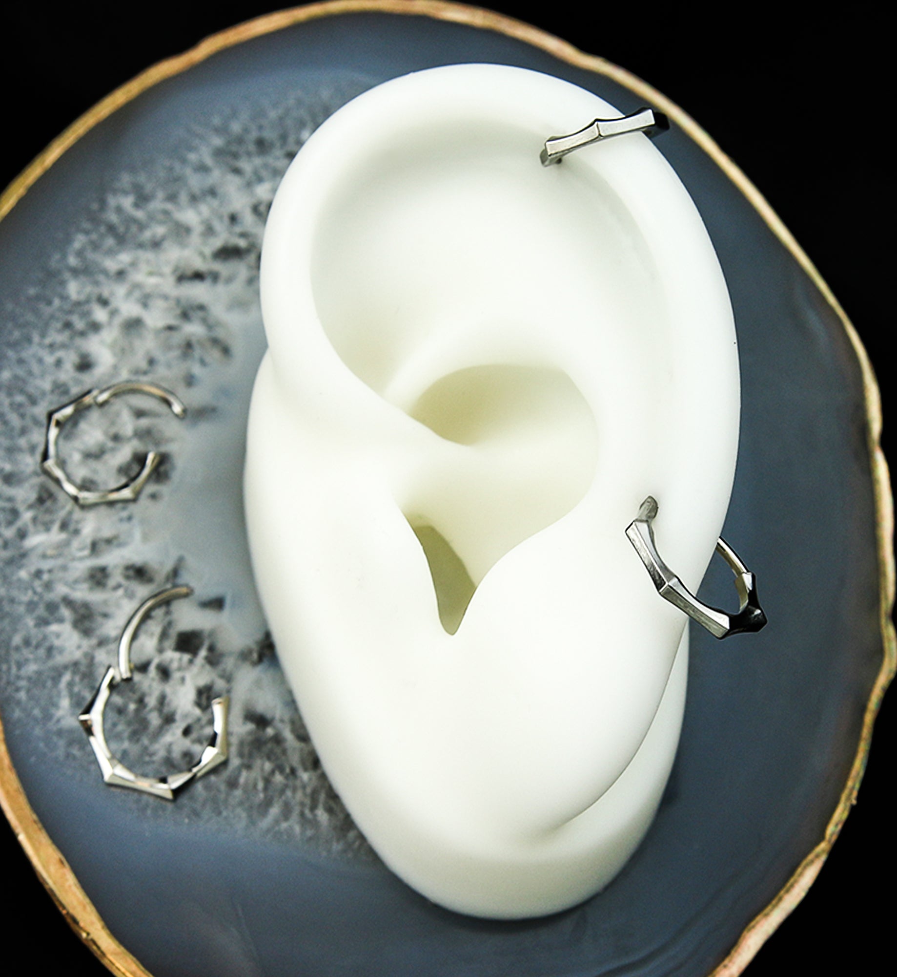 Sector Titanium Hinged Segment Ring | UrbanBodyJewelry.com