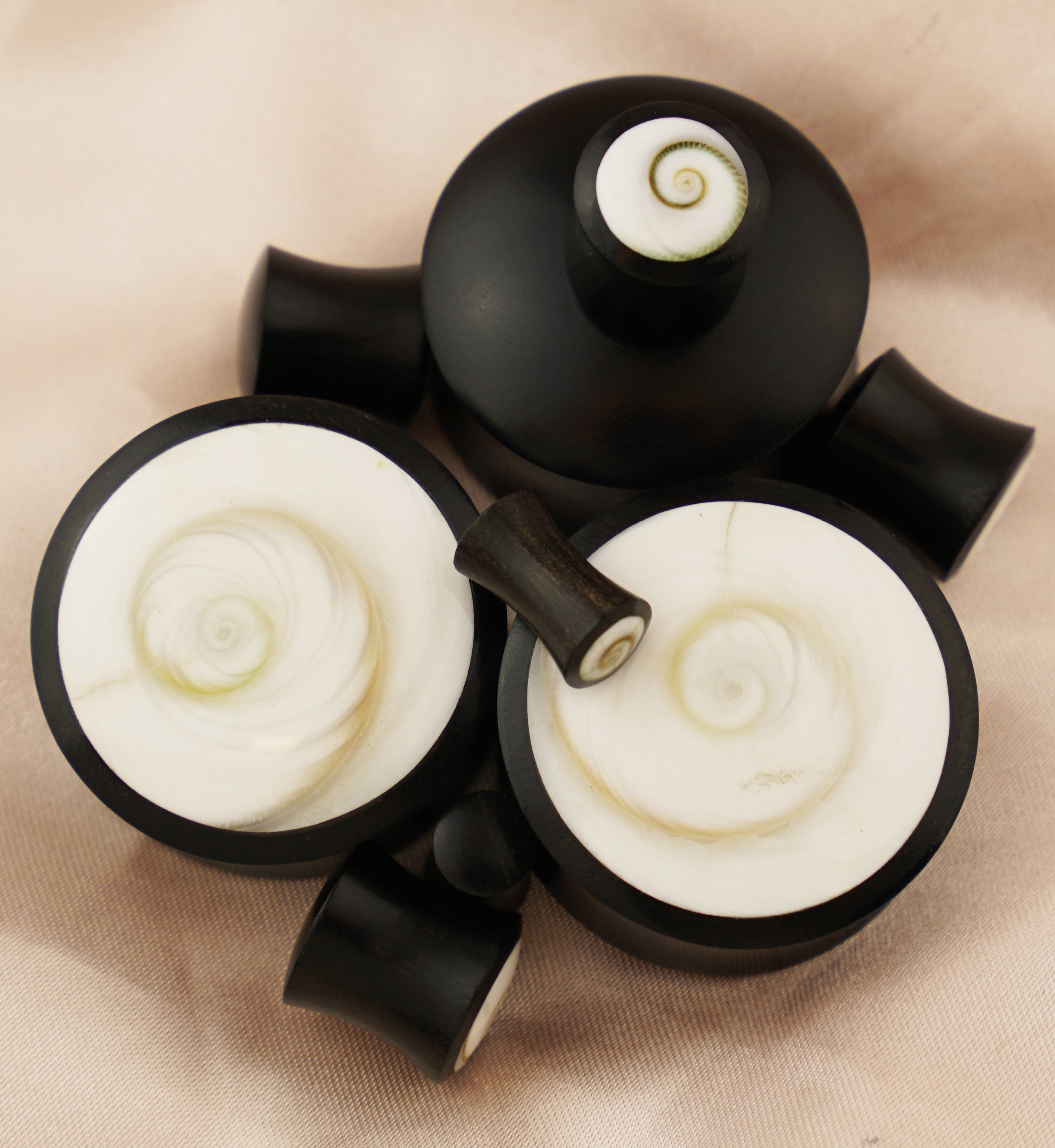 Spiral Sea Shell Inlay Wood Plugs (6G - 1 & 1/2")