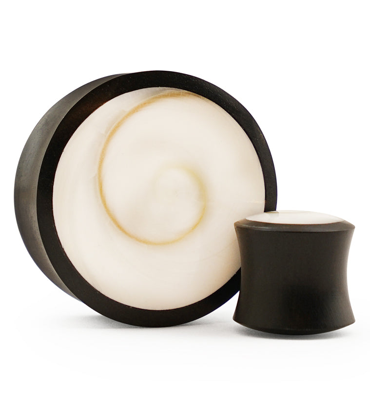 Spiral Sea Shell Inlay Wood Plugs (6G - 1 & 1/2") | UrbanBodyJewelry.com