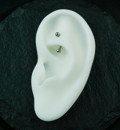 Prince Albert Jewelry | PA Rings and Barbells