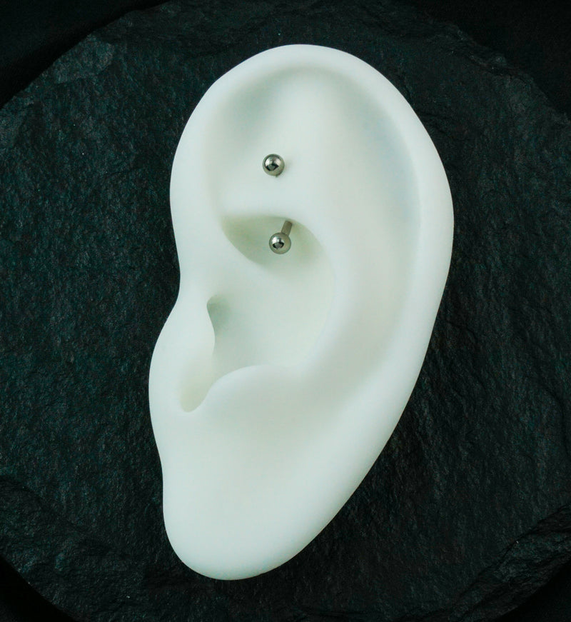 Ashley Piercing Jewelry | Ashley Piercings | UrbanBodyJewelry.com