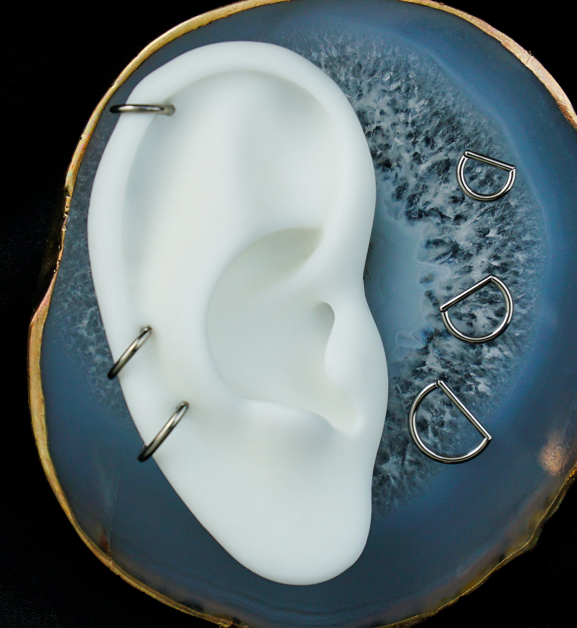 Titanium D-Shaped Hinged Segment Ring | UrbanBodyJewelry.com