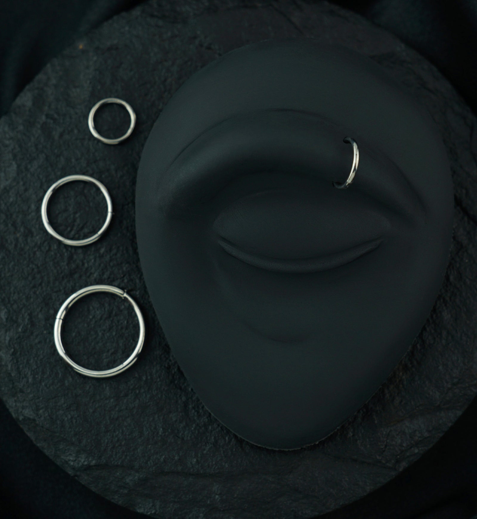 Titanium Hinged Segment Hoop Rings