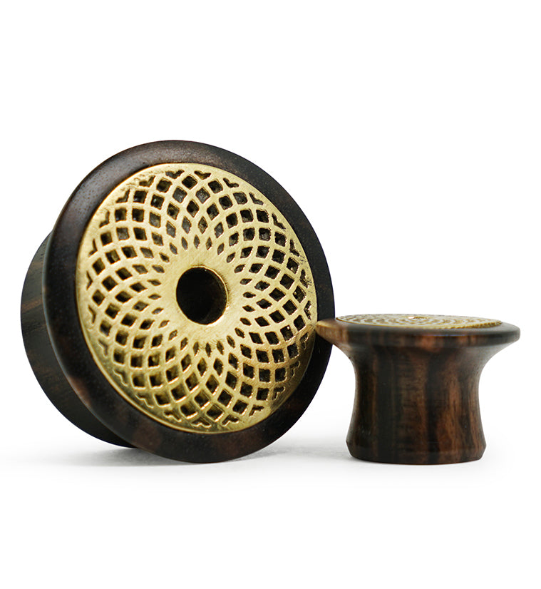 Torus Brass Areng Wood Mayan Flare Plugs