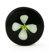 White Poppy Flower Black Glass Double Flare Plugs 0G - 1"