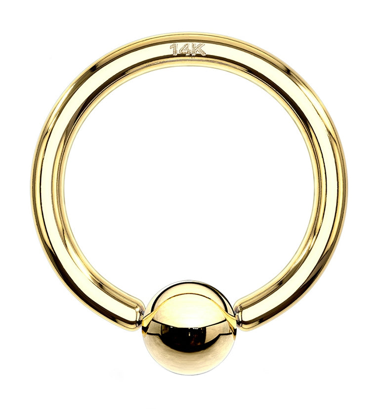 14kt Gold Captive Bead Ring | UrbanBodyJewelry.com