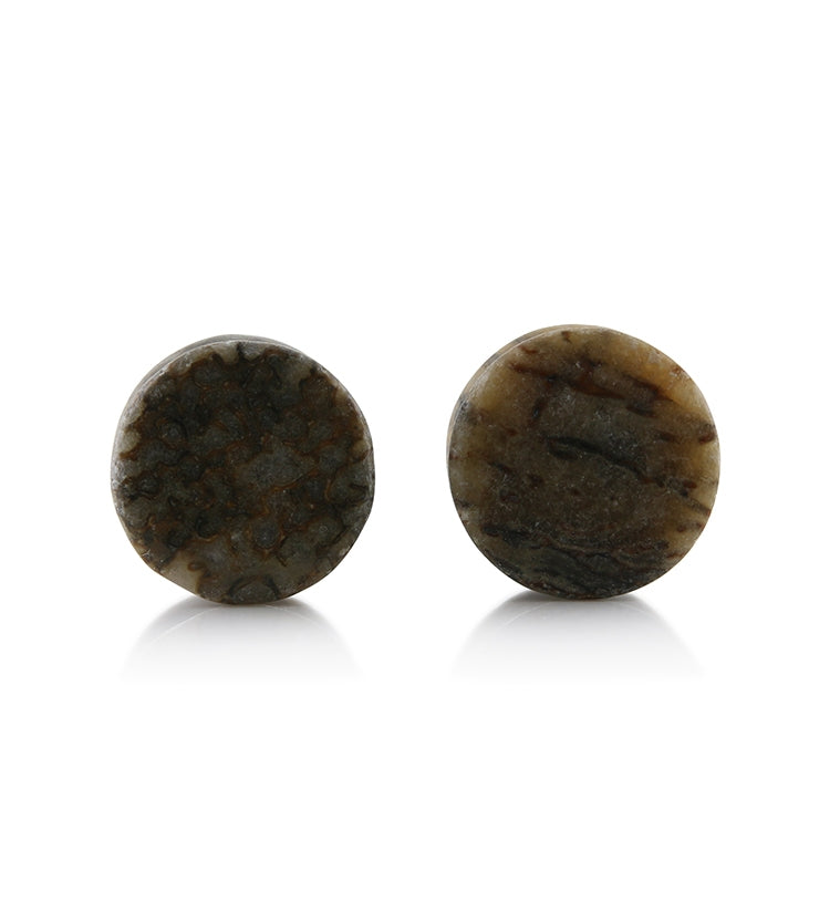 Fossilized Dinosaur Bone Plugs 9/16" (14mm) (Imperfect) Version 7 ...