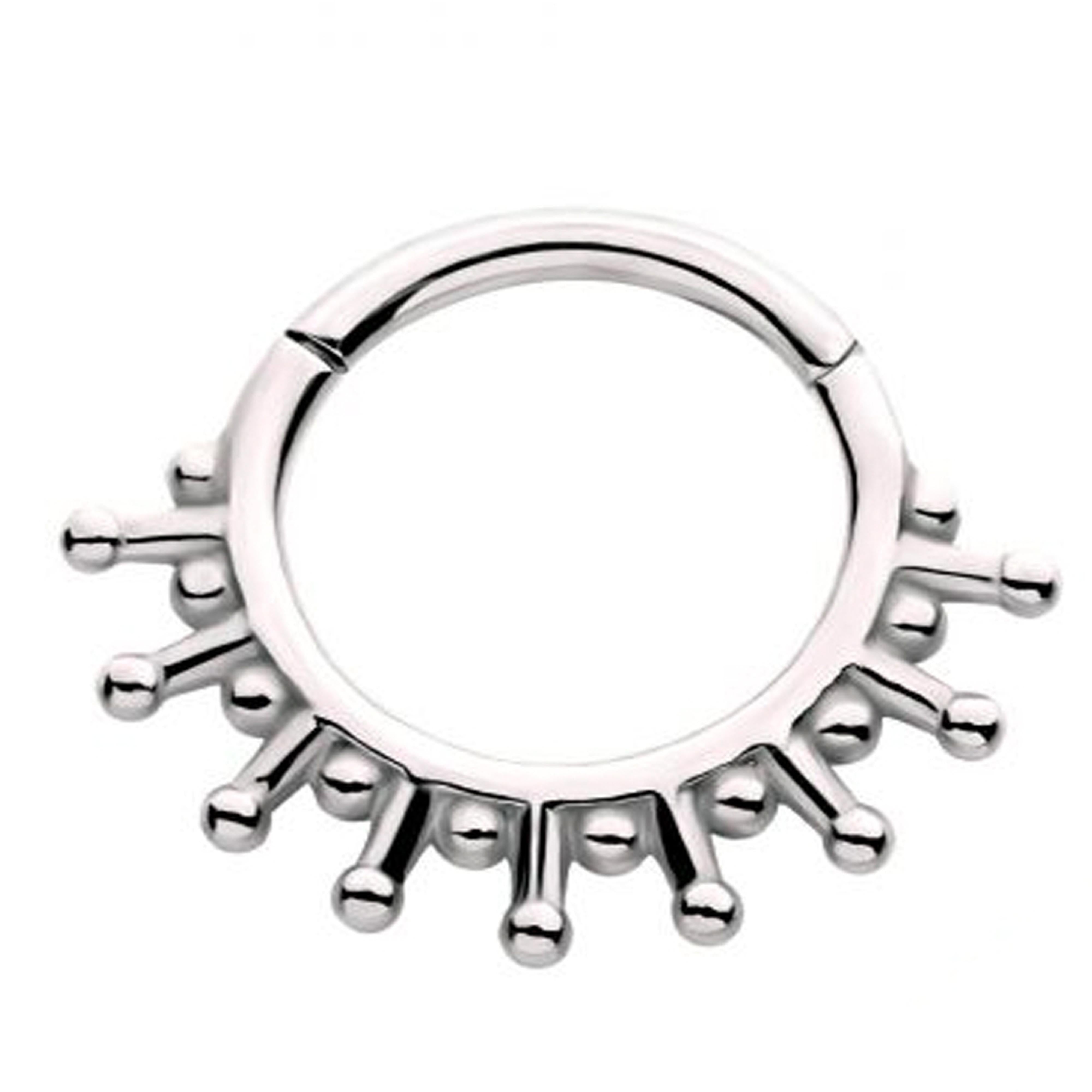 Flash Hinged Segment Ring | UrbanBodyJewelry.com