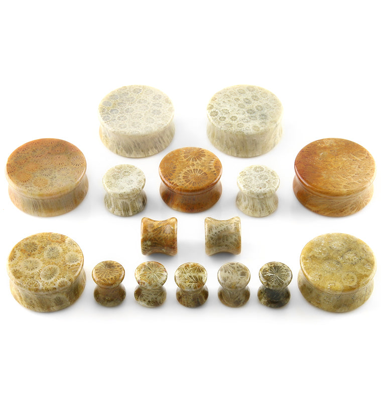 Indonesian Fossilized Coral Plugs (0 Gauge - 1 Inch) | UrbanBodyJewelry.com