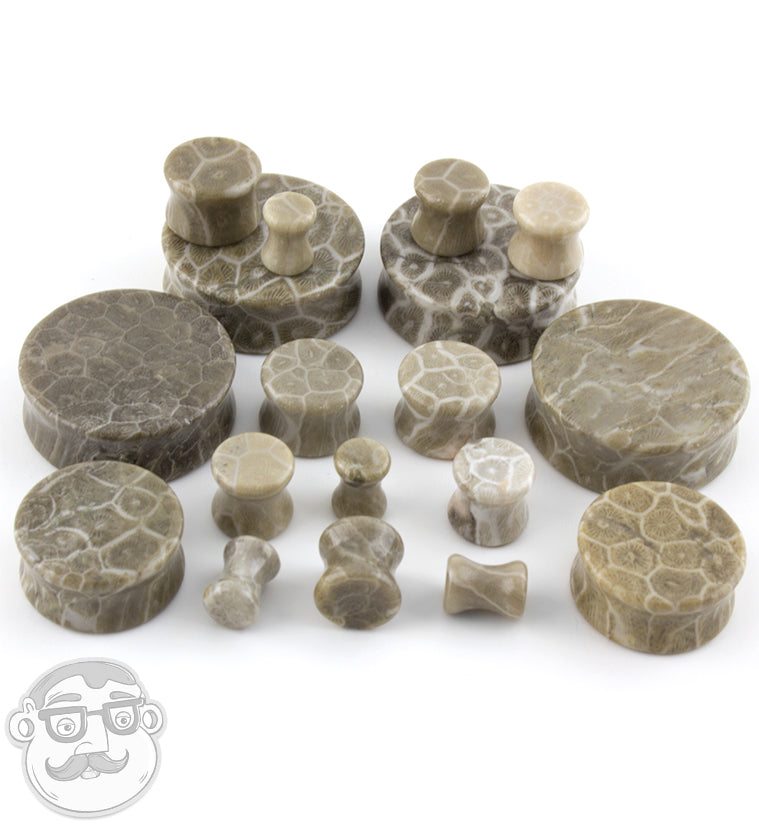 Fossilized Coral Plugs (2 Gauge - 1 & 1/4" Inch) | UrbanBodyJewelry.com
