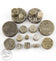 Fossilized Coral Plugs (2 Gauge - 1 & 1/4" Inch) | UrbanBodyJewelry.com