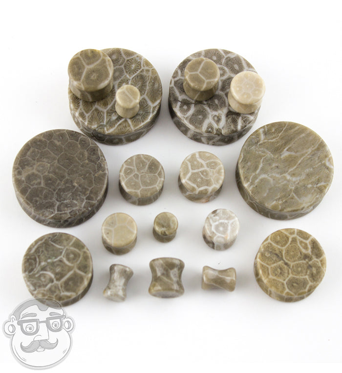 Fossilized Coral Plugs (2 Gauge - 1 & 1/4" Inch) | UrbanBodyJewelry.com