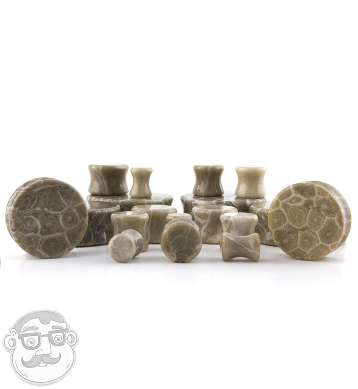 Fossilized Coral Plugs (2 Gauge - 1 & 1/4" Inch) | UrbanBodyJewelry.com