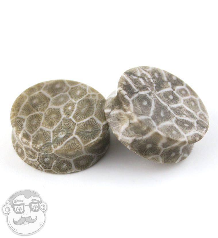 Fossilized Coral Plugs (2 Gauge - 1 & 1/4" Inch) | UrbanBodyJewelry.com