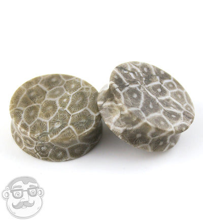 Fossilized Coral Plugs (2 Gauge - 1 & 1/4" Inch) | UrbanBodyJewelry.com