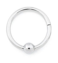 Titanium Hinged Segment Captive Ring