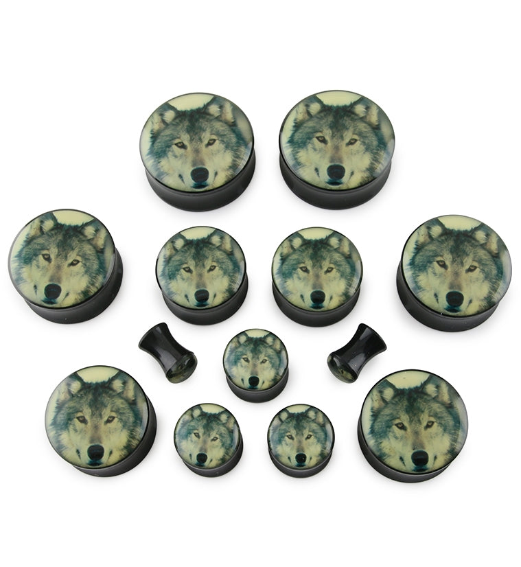 Wolf Plugs (2 Gauge - 1 Inch) | UrbanBodyJewelry.com